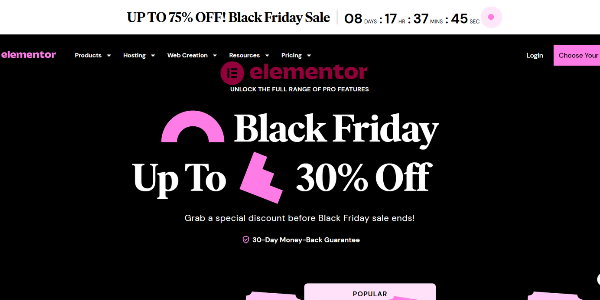 Elementor Pro Black Friday Sale 2024 – The Best Time to Upgrade Your Website! - CodersNoyan